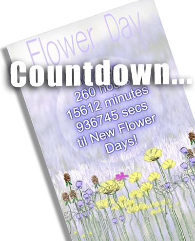 30 Amazing Flower Day Eastern Market Buying Strategies!